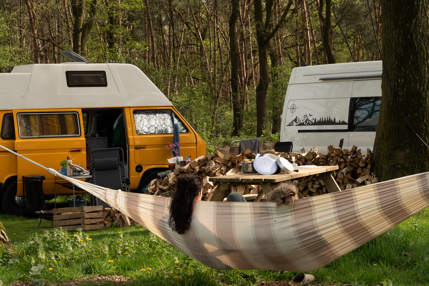 Startpagina - Wonder Woods